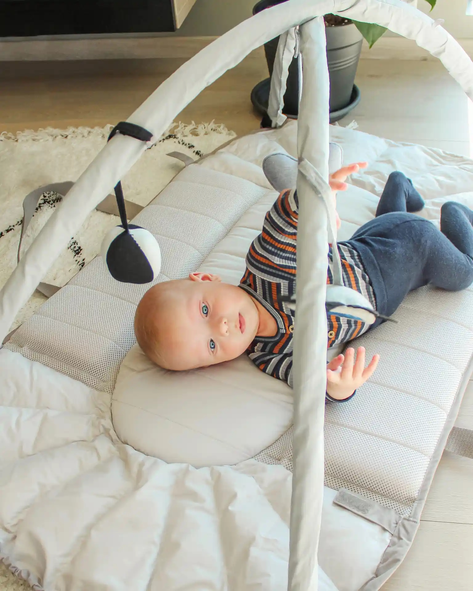 Easygrow lift | Sikker babylift i flot design - Fri fragt